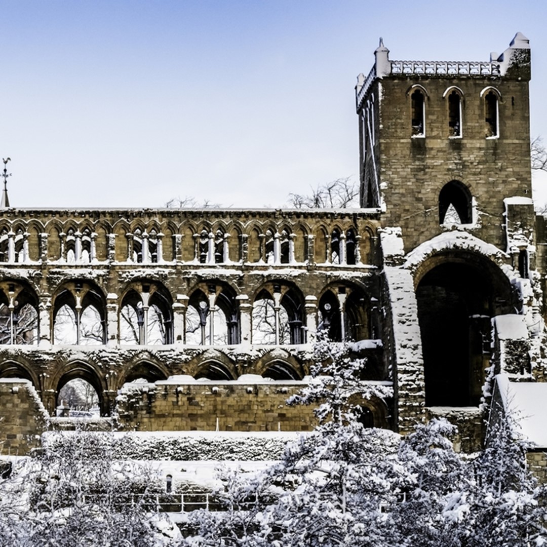 Jedburgh Abbey, Scottish Borders - Advanced