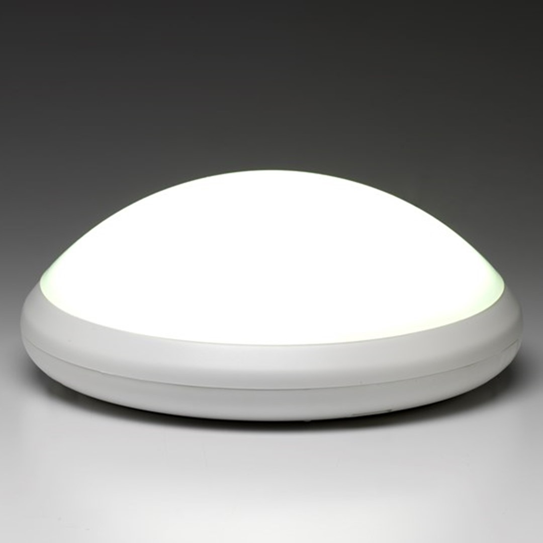 LuxIntelligent Emergency Lighting - Advanced